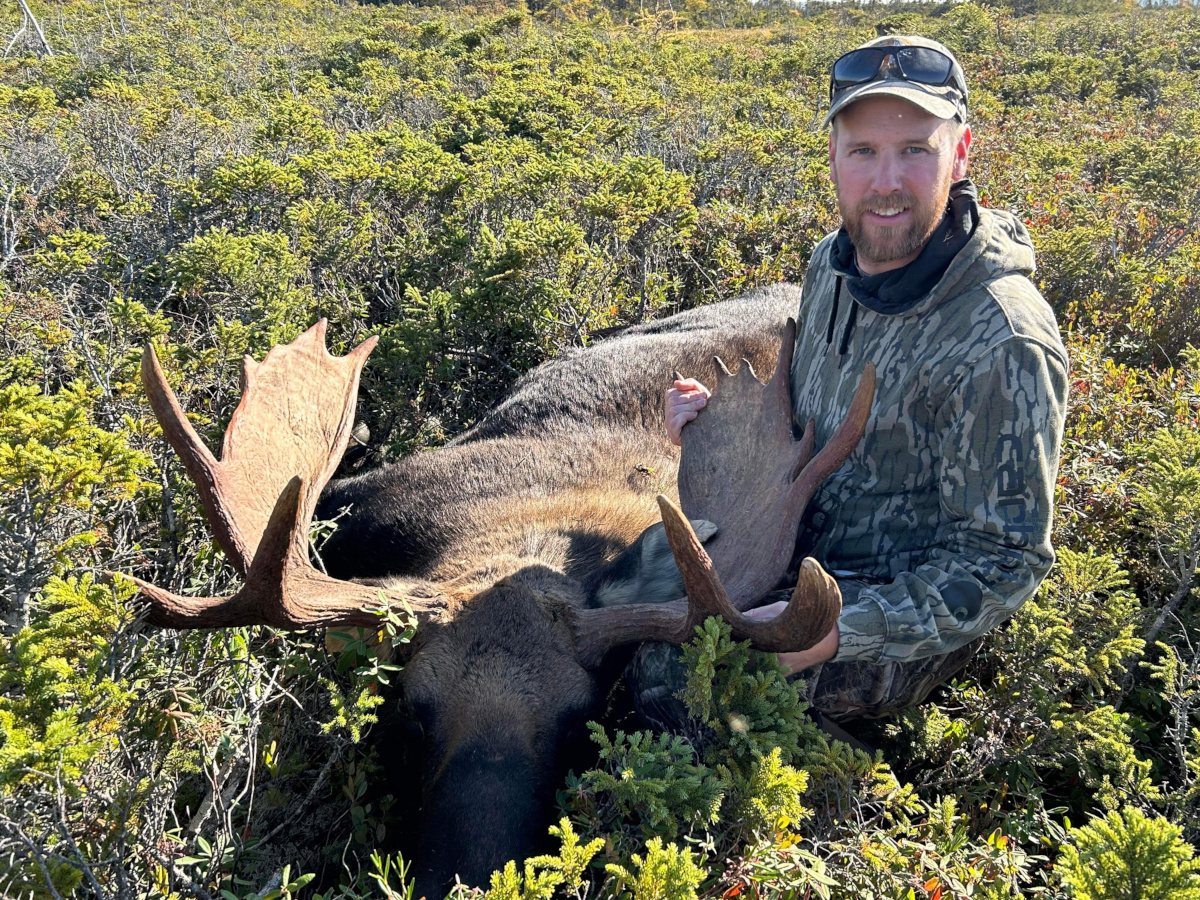 Our Hunts - Caribou Cove Outfitters | Big Game Hunting in Newfoundland ...